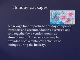 Holiday package 1 | PPTX