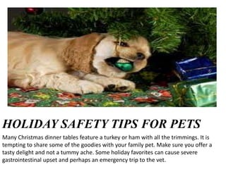 HOLIDAY SAFETY TIPS FOR PETS | PPTX