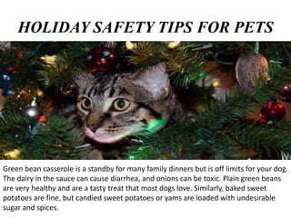HOLIDAY SAFETY TIPS FOR PETS | PPTX