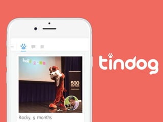 Holidog Pitch Deck | PDF