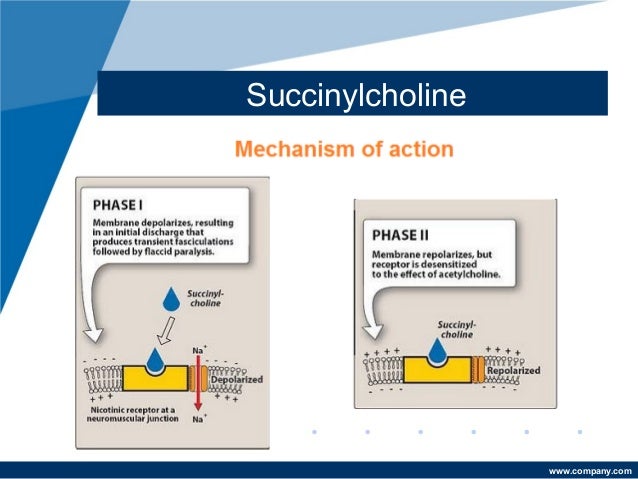 CHolinergic agents