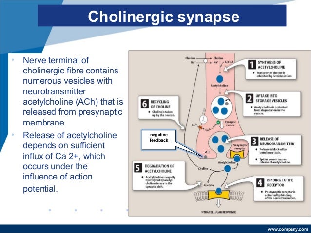 CHolinergic agents
