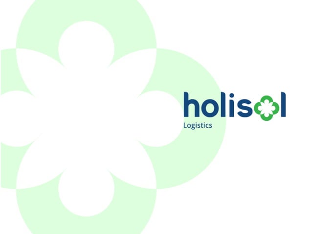 Holisol logistics-3PL | PDF