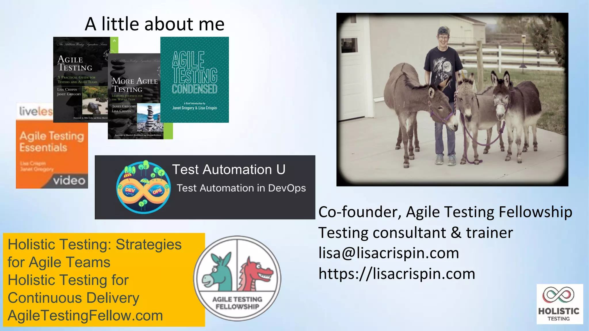 A Holistic Approach to Testing in Continuous Delivery | PDF