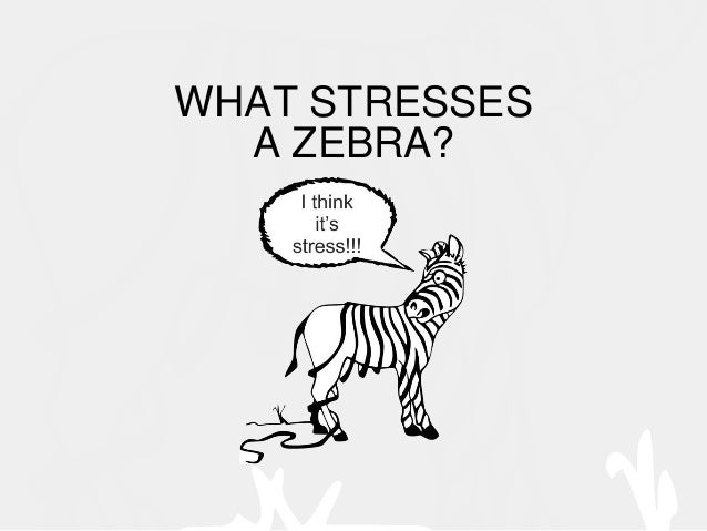 A Holistic Approach To Stress