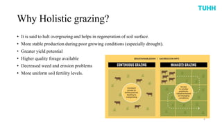 Holistic Grazing.pptx