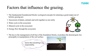 Holistic Grazing.pptx