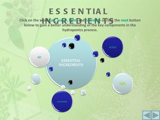 Holistic hydroponics | PPT