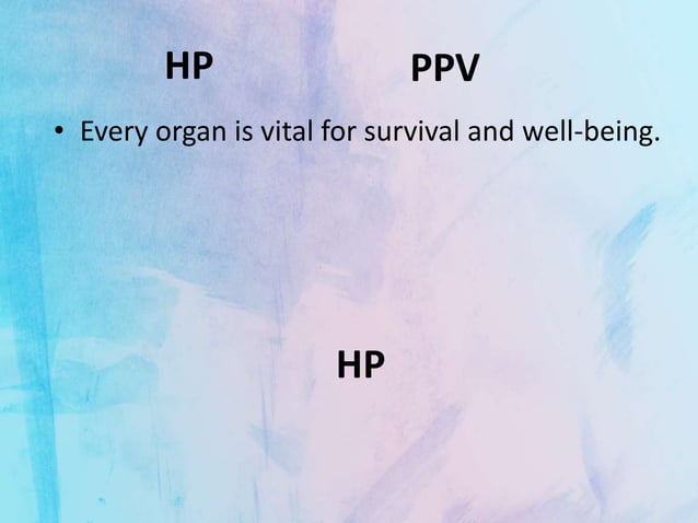 Holistic vs Partial Point of View | PPTX