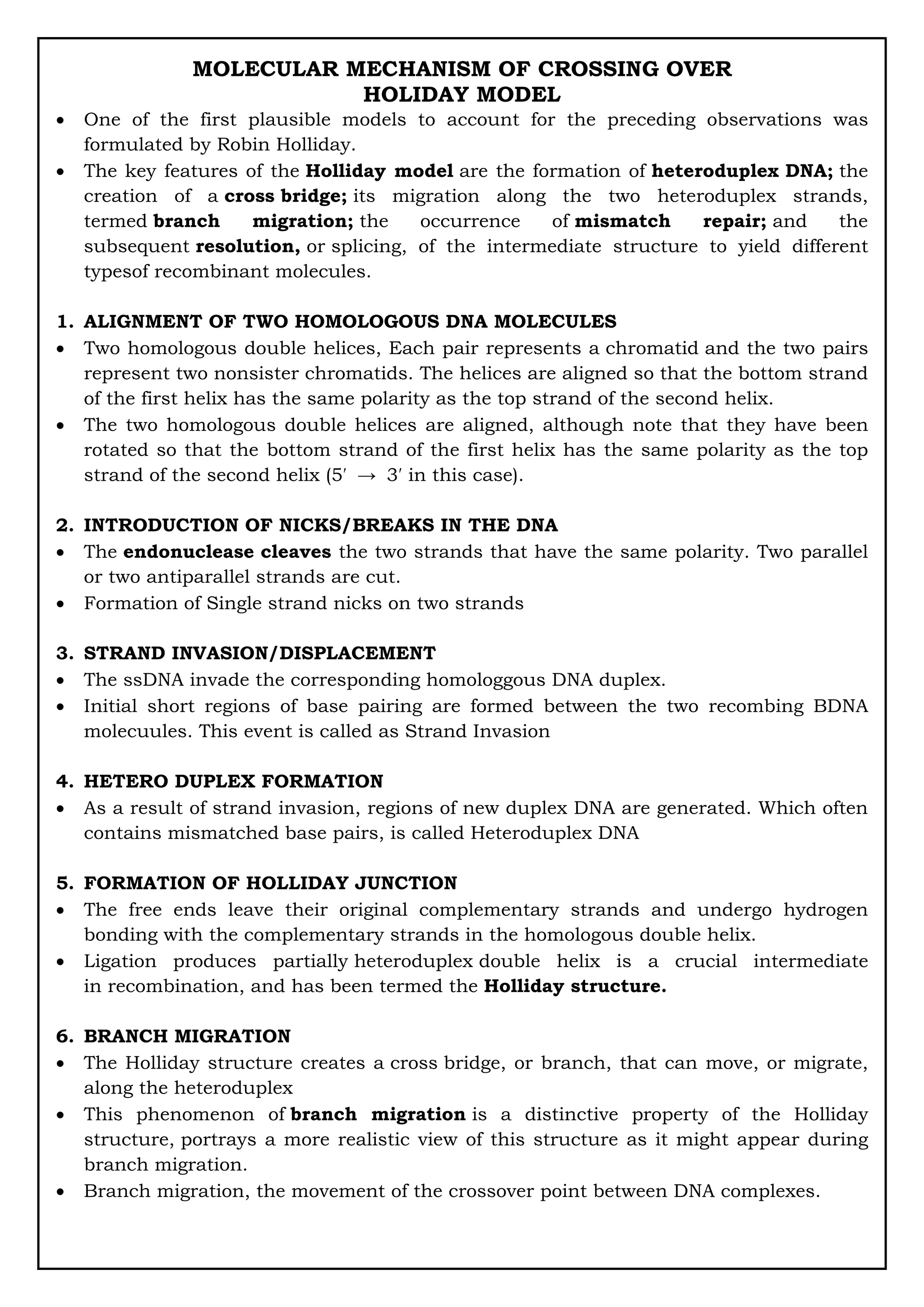 Holliday model of crossing over | PDF