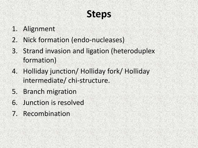Holliday Model of DNA Recombination | PPTX