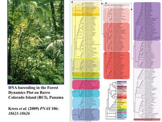 Plant Barcoding | PPT