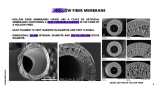 Hollow Fiber | PDF