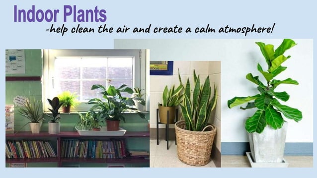 ESOL Learning Environment: Graphic Display | PPT