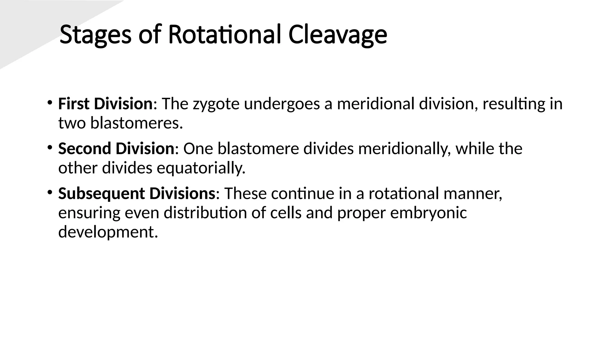 HOLOBLASTIC ROTATIONAL CLEAVAGE Sky Lawa-an | PPTX