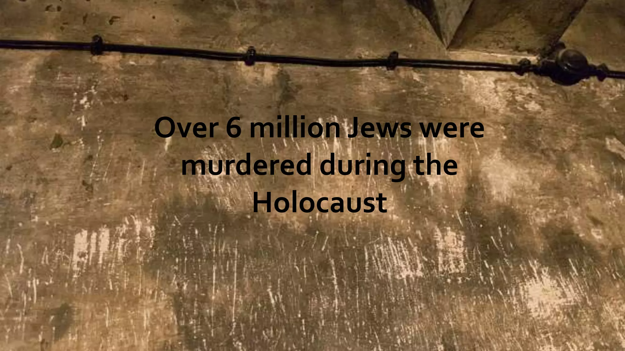 Holocaust ichistory | PPTX