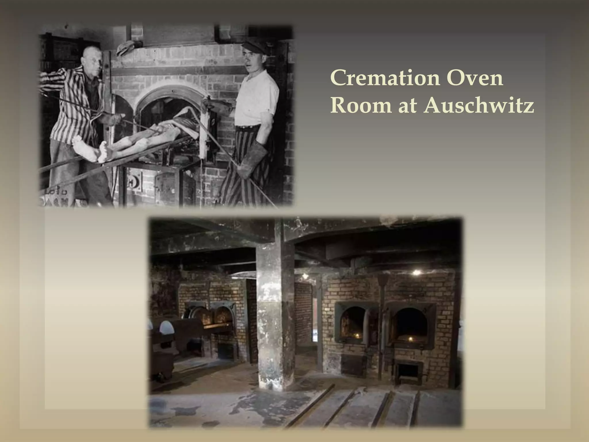 The Holocaust | PPTX