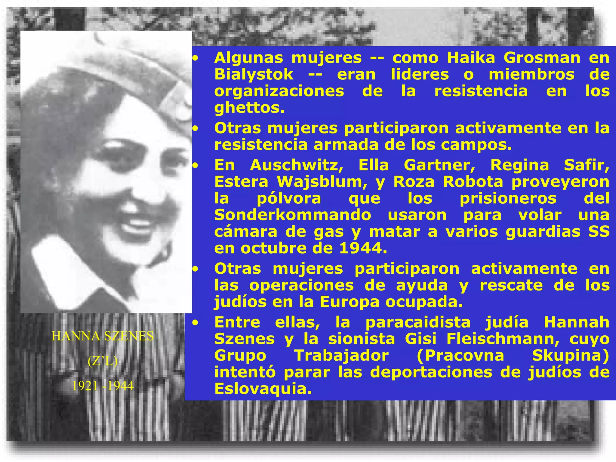 Holocausto | PPT