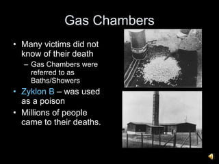 Holocaust Gas Chambers Facts