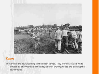Holocaust vocabulary | PPTX