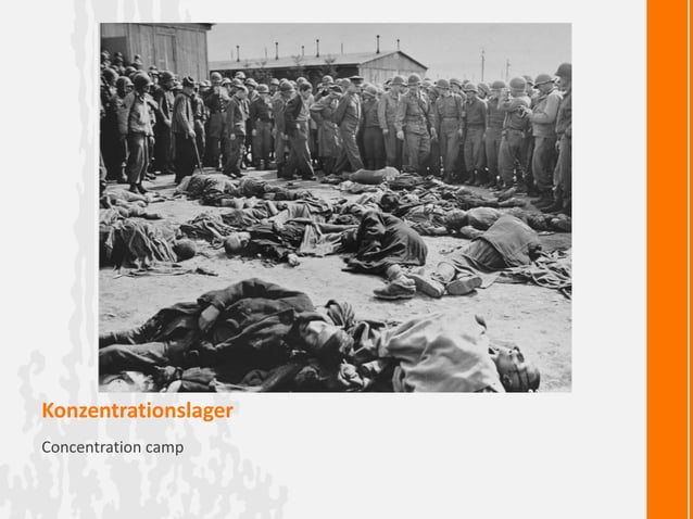 Holocaust vocabulary | PPT