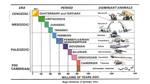 Holocene Period | PPTX