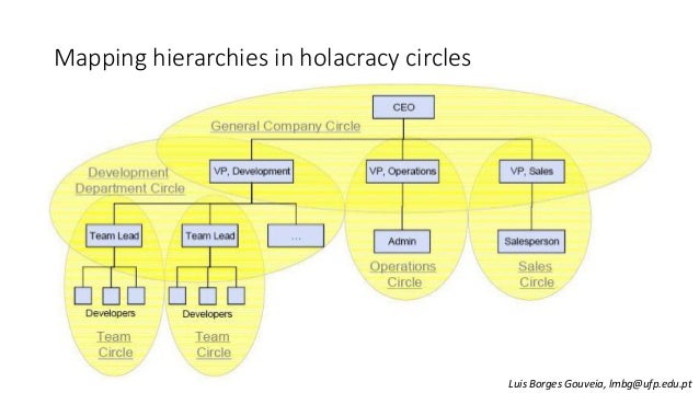 Holacratic Organizational Structure