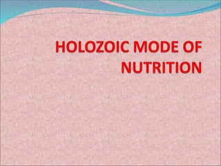 holozoic mode of nutrition - IN AMOEBA.ppt