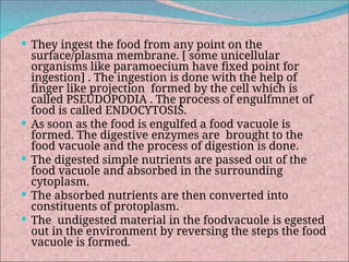 holozoic mode of nutrition - IN AMOEBA.ppt