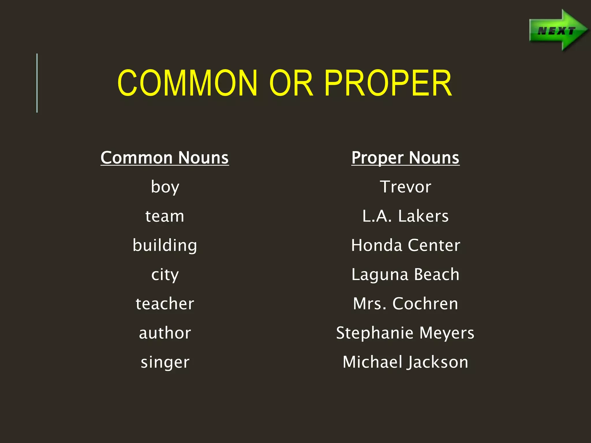 holt-noun-powerpoint.ppt