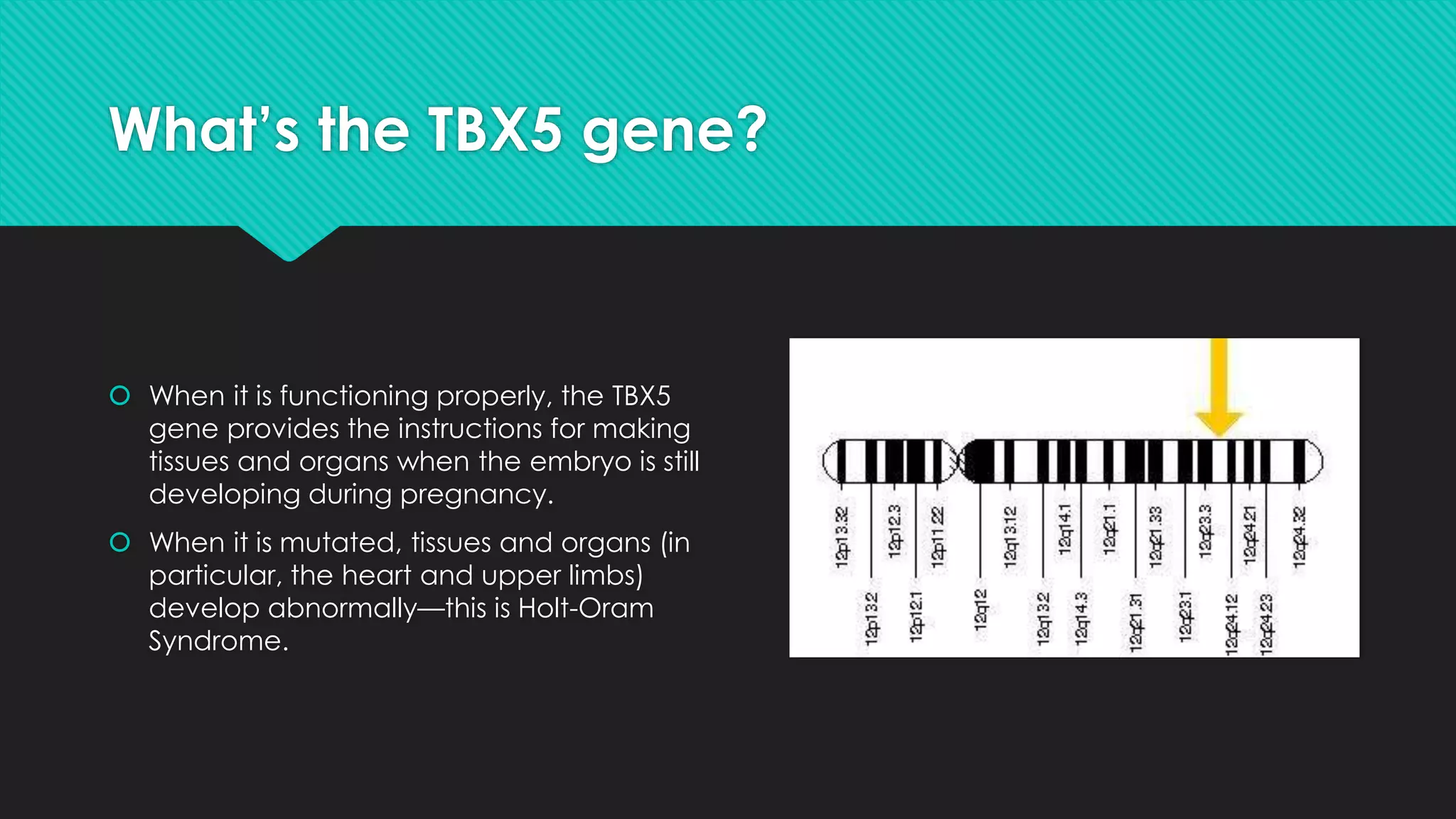 Holt oram syndrome presentation | PPTX