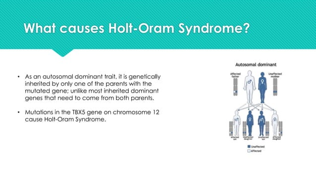 Holt oram syndrome presentation | PPTX