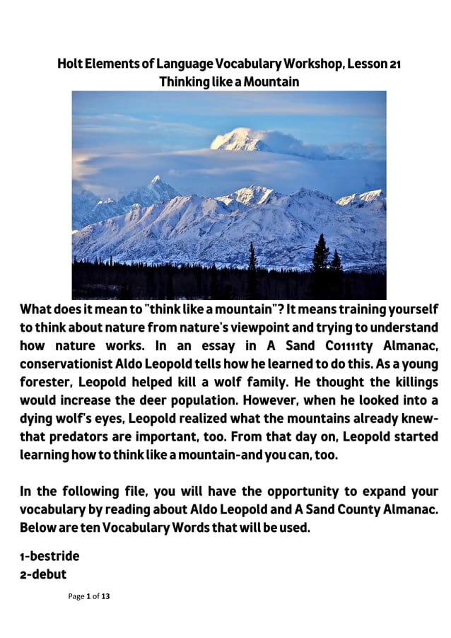 Holt Elements of Language Vocabulary Workshop, Lesson 21 | PDF