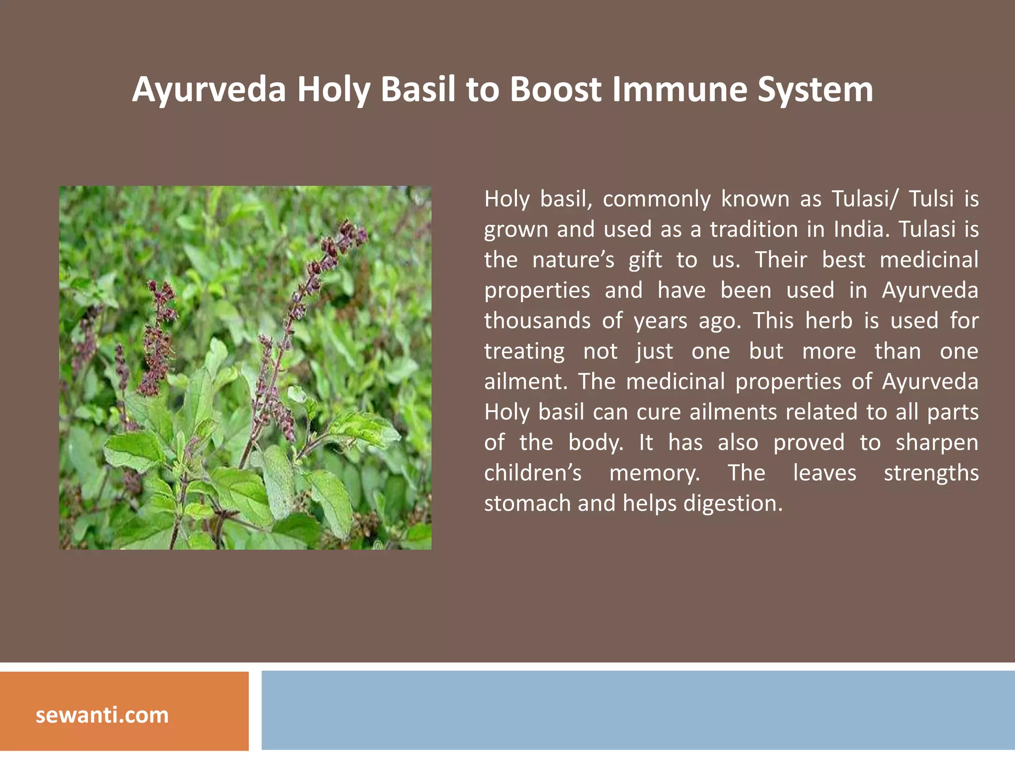 Holy basil Ayurvedic Immune Booster | PPTX