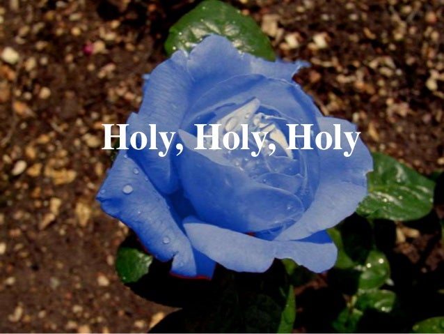 Holy Holy Holy