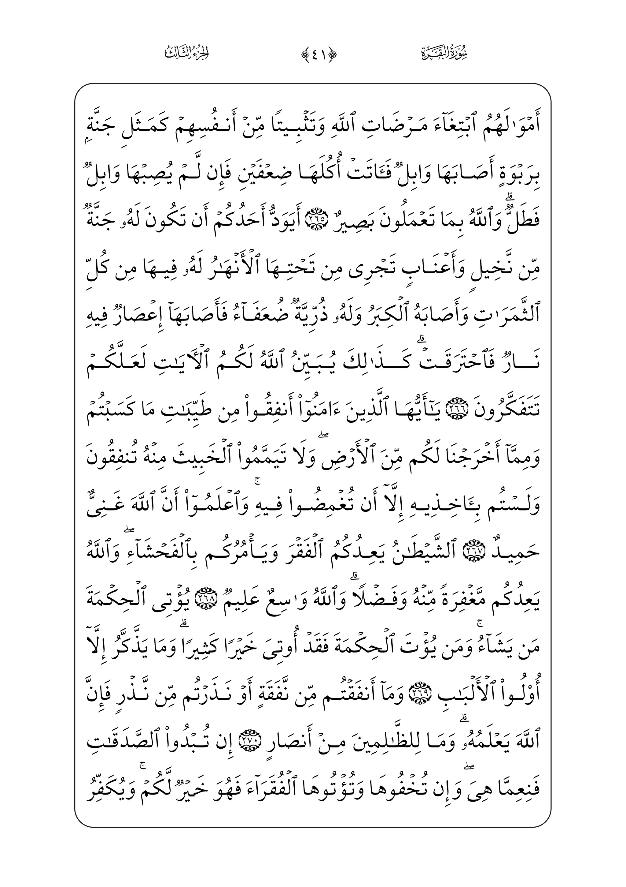 The Holy Quran | PDF