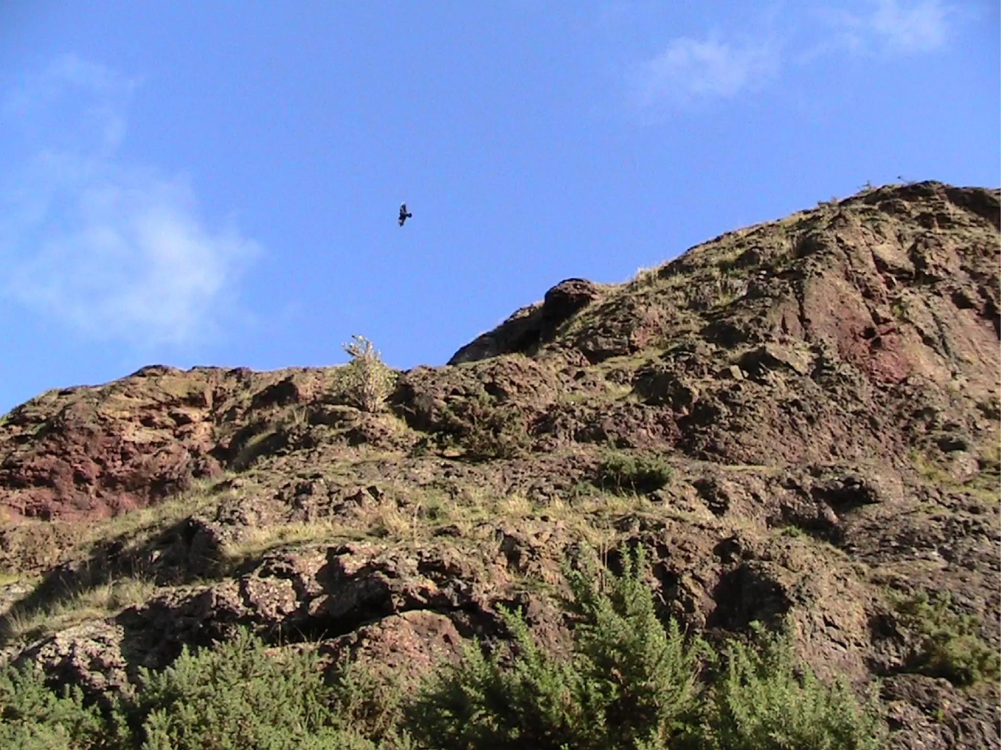 Hollyrood Park and Arthur's Seat | PPT