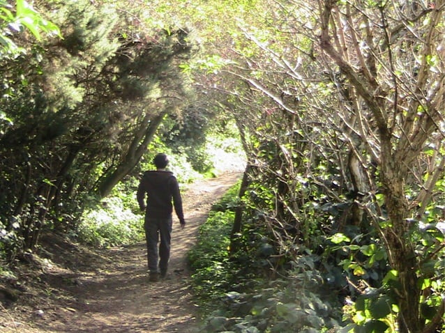 Hollyrood Park and Arthur's Seat | ODP