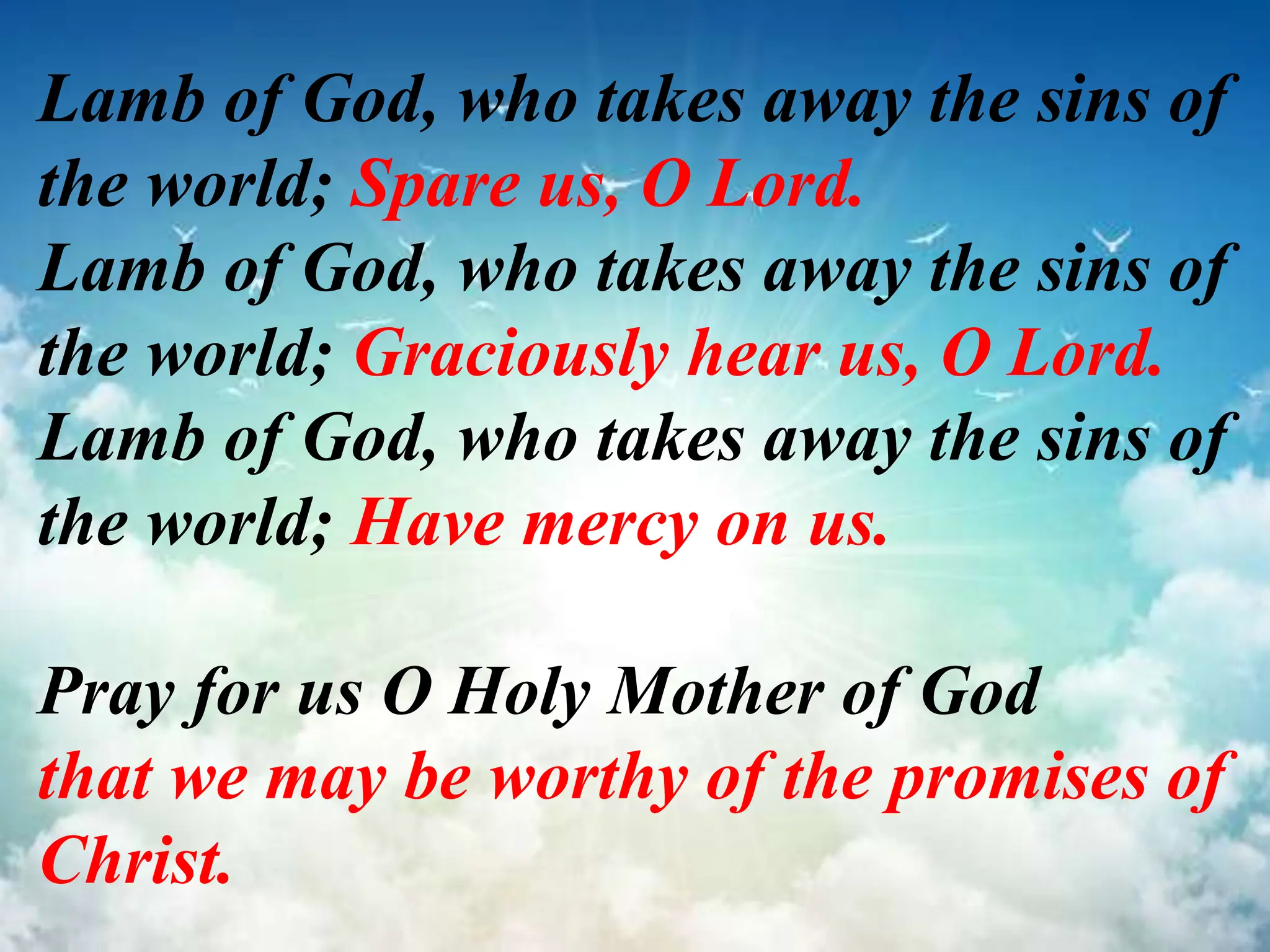 The Holy Rosary of the Blessed Virgin Mary.pptx