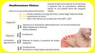 Patologias de hombro | PDF