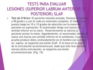 HOMBRO fisioterapia y kinesiología hombro.ppt