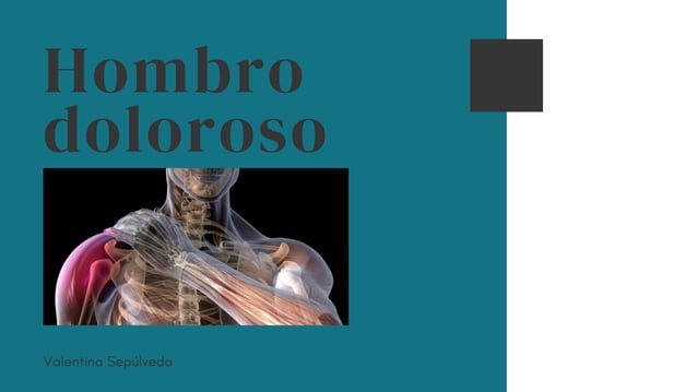 Articulaciones Del Hombro
