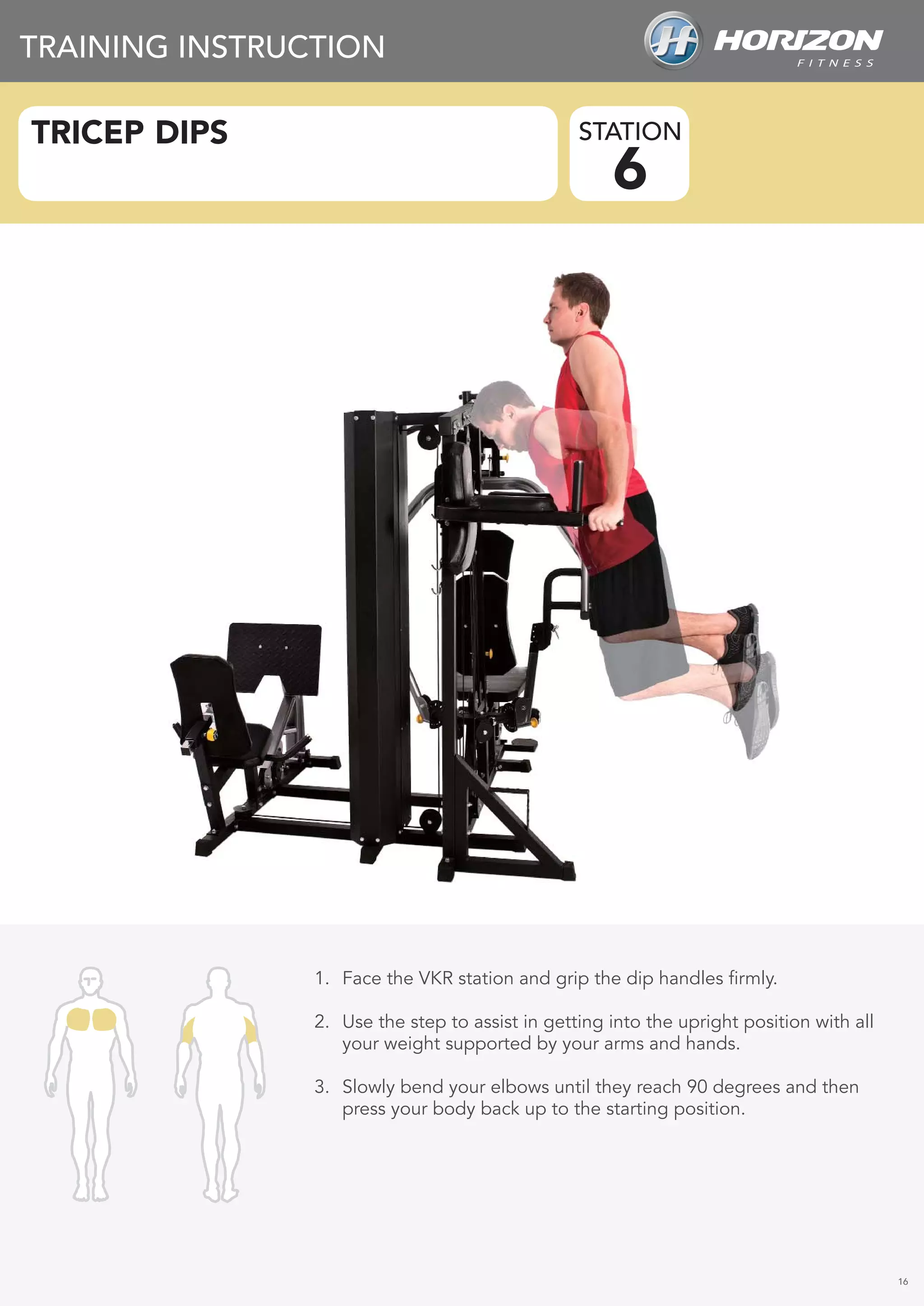 Home Gym Exercise Guide | PDF