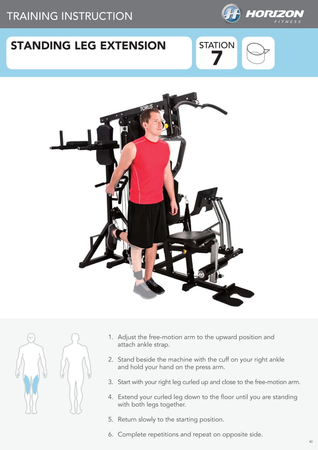 Home Gym Exercise Guide | PDF