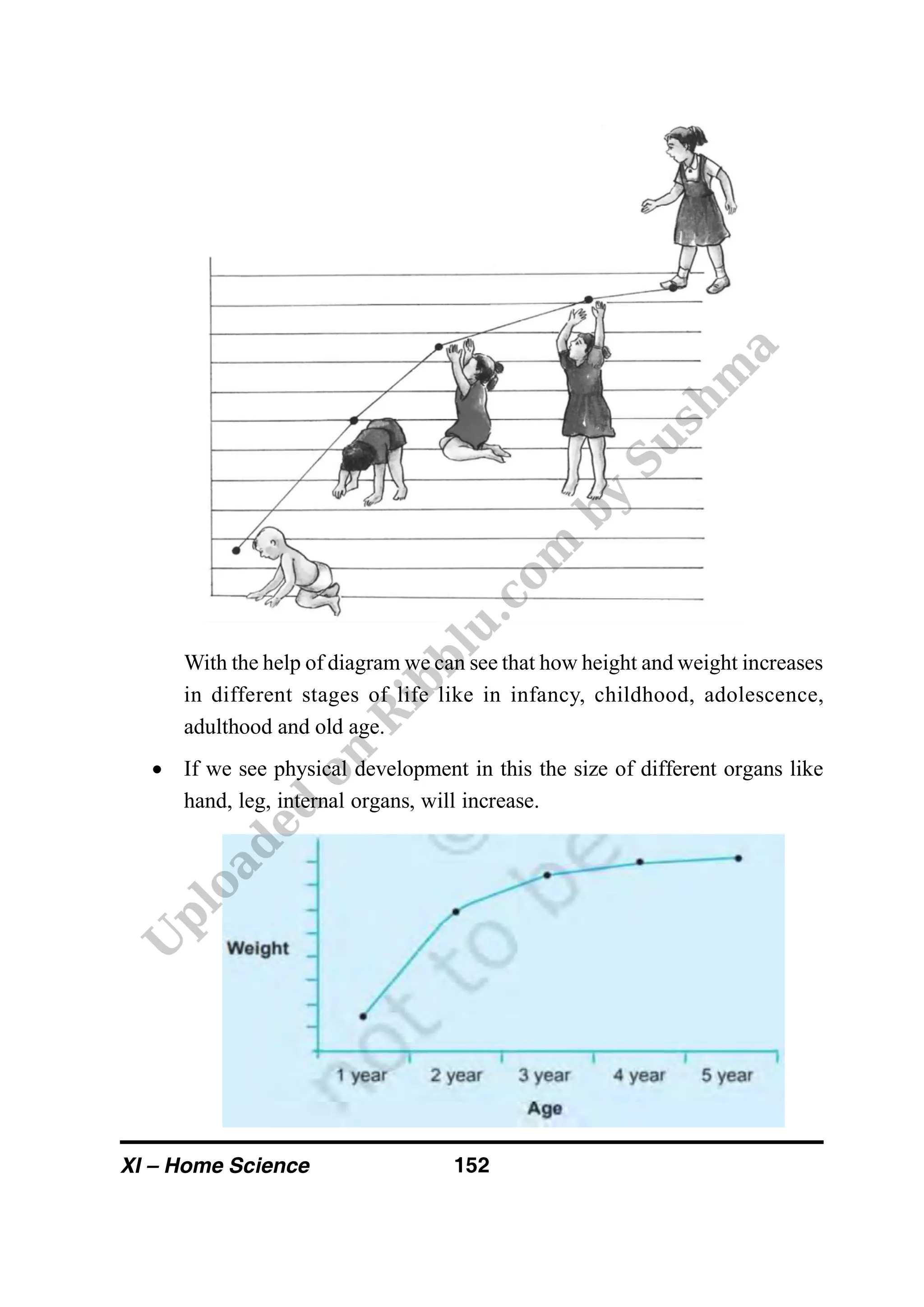 home-science-class-11-notes-chapter-11.pdf