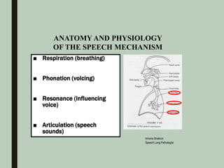 home based speech exercise for speech delayed children | PPT