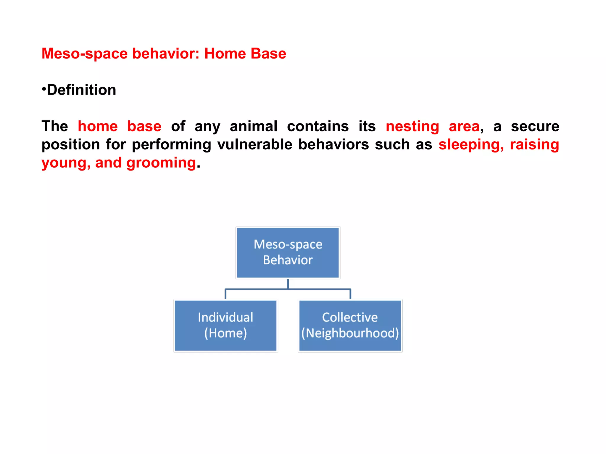 Home base, household and ethnoarchaeology | PPT
