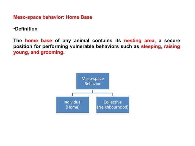Home base, household and ethnoarchaeology | PPT