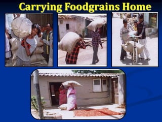 Home delivery scheme of foodgrains | PPSX