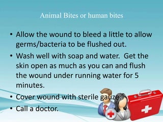 Home first aid kit | PPTX